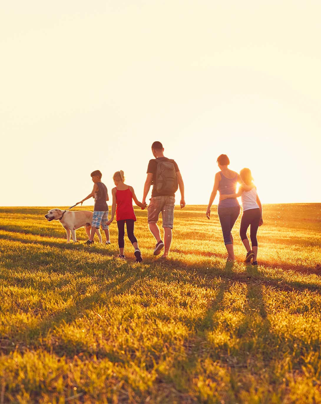 Iron Landing - Alliston At Home